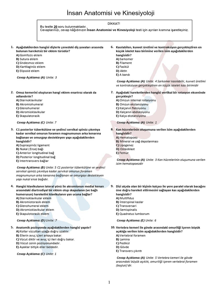 İnsan Anatomisi Ve Kinesiyoloji | PDF