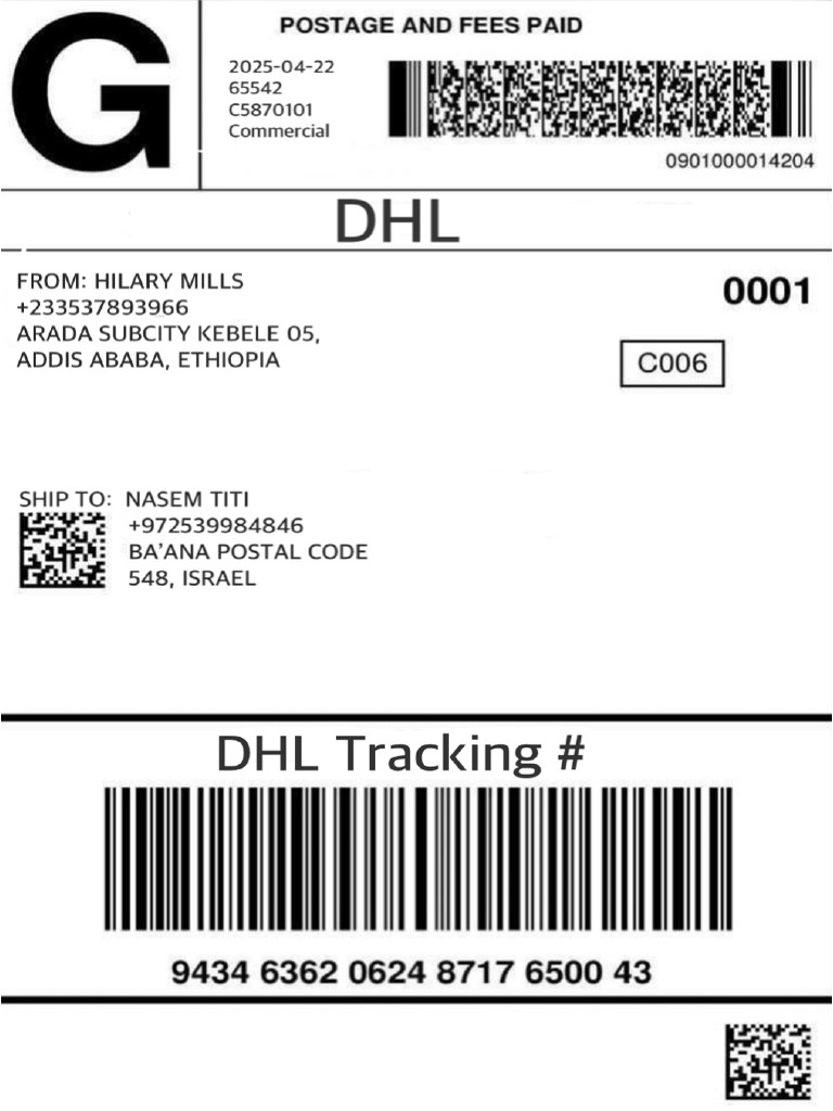 DHL Shipping Label | PDF
