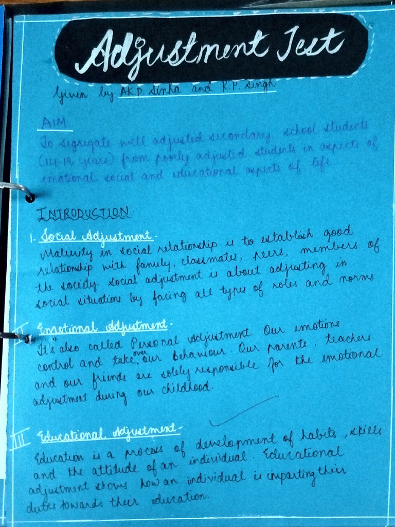 Educational Assessment and Adjustment Analysis | PDF