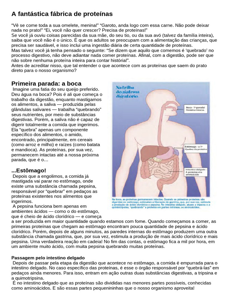 Entenda a Digestão das Proteínas | PDF | Proteínas | Digestão