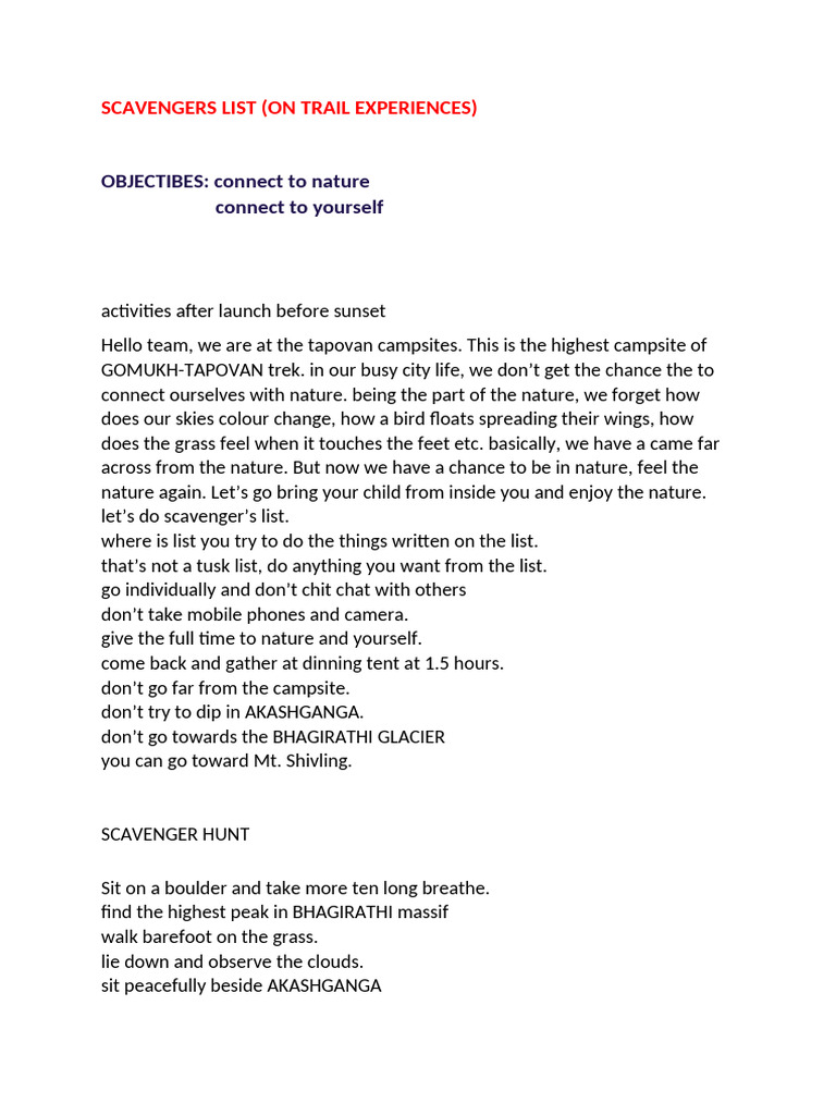 Scavenger Hunt | PDF