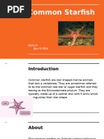 Fun Facts About Starfish | PDF | Oceanography | Organisms