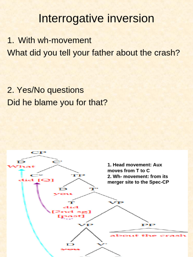 Interrogative Inversion | PDF | Linguistic Morphology | Semantics