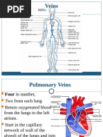 Understanding Batson's Plexus Anatomy | PDF | Vertebra | Vein