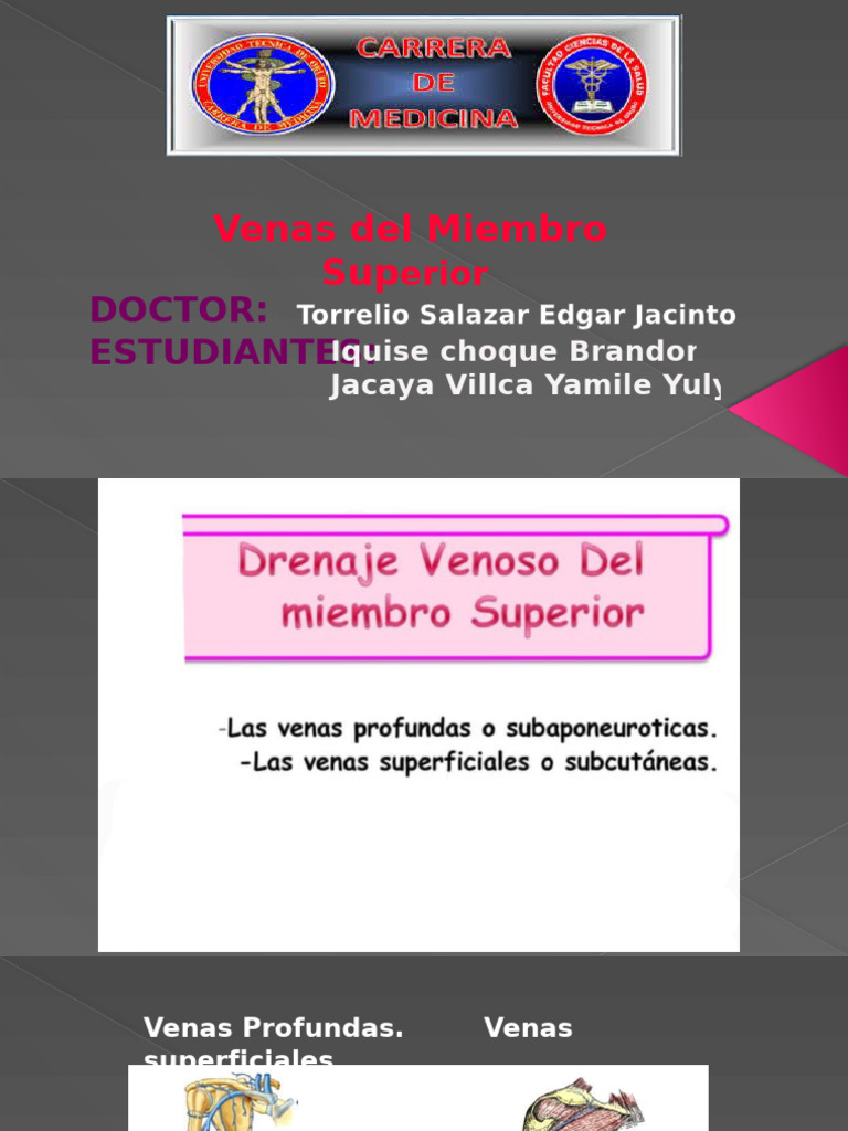 Anatomía de las Venas del Miembro Superior | PDF | Vena | Sistema ...