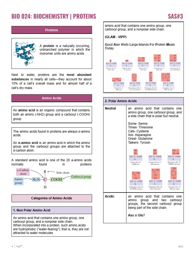 BIO 024 Lec - SAS # 3 Proteins | PDF | Amino Acid | Proteins