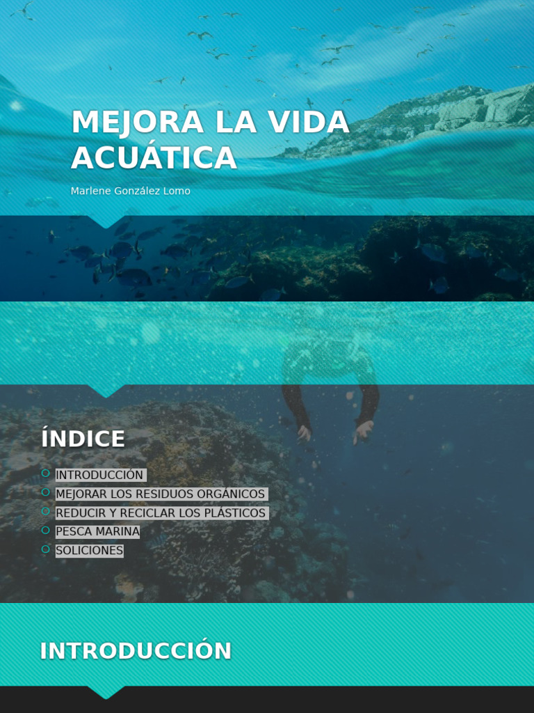 Mejora La Vida Acuática: Marlene González Lomo | PDF