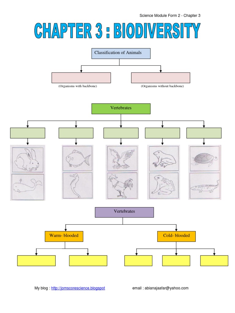 Biodiversity Classification for Form 2 | PDF | Egg | Reptile