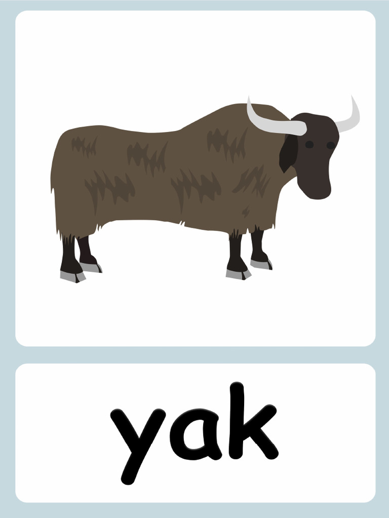 Artic Animals Flashcards | PDF