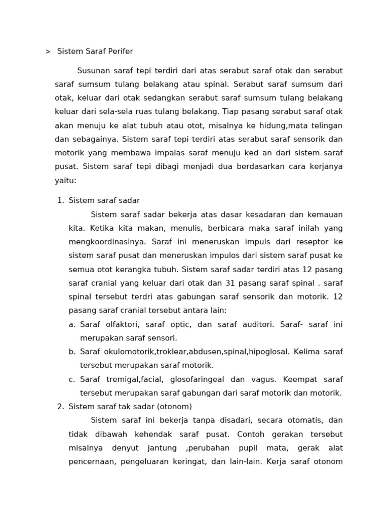 Sistem Saraf Perifer: Fungsi dan Pengujian | PDF