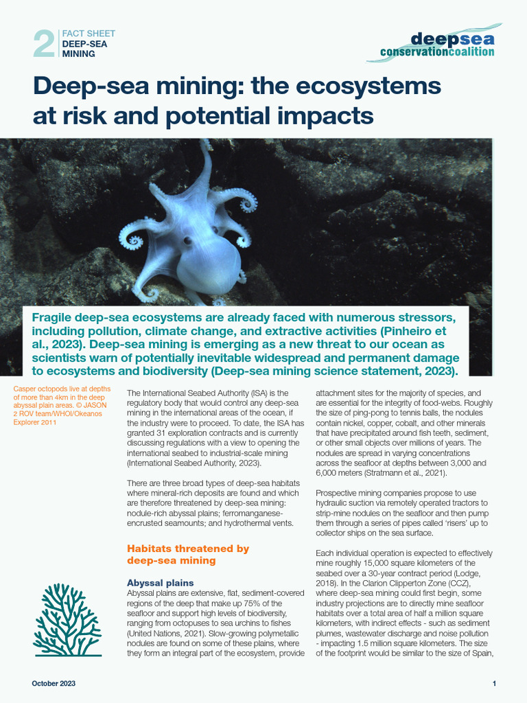 Threats to Abyssal Plain Ecosystems | PDF | Seabed | Hydrothermal Vent