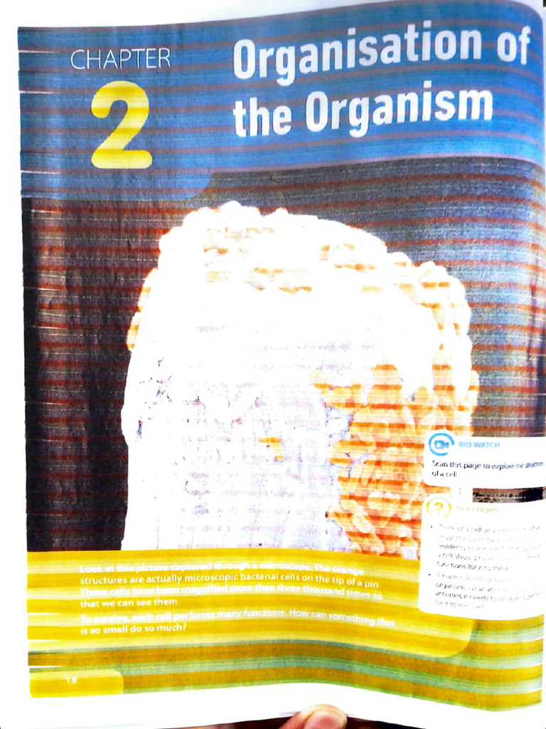 Biology Unit 2,3 | PDF