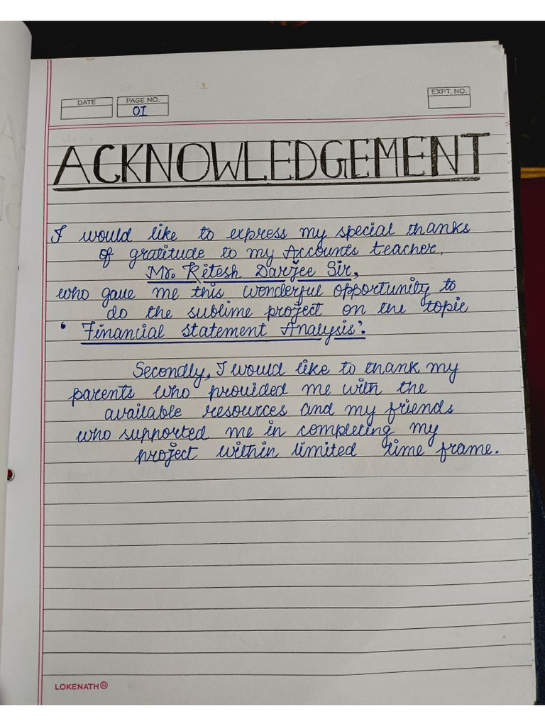 Accountancy Project! | PDF