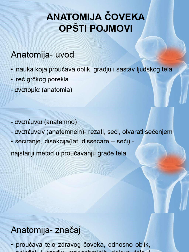 Uvod U Anatomiju | PDF