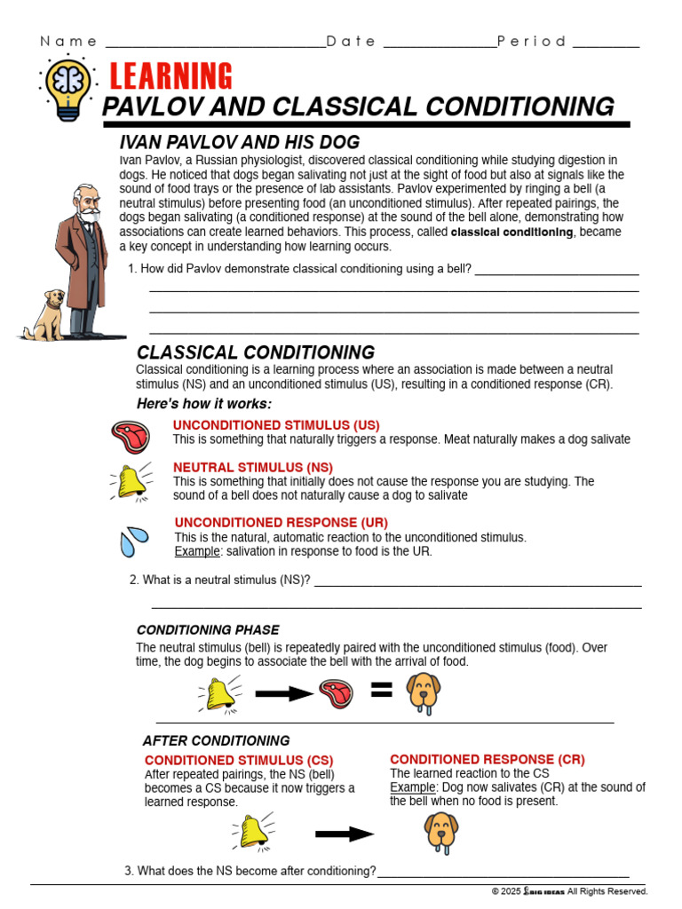 01B Classical Conditioning and Practice | PDF | Classical Conditioning ...