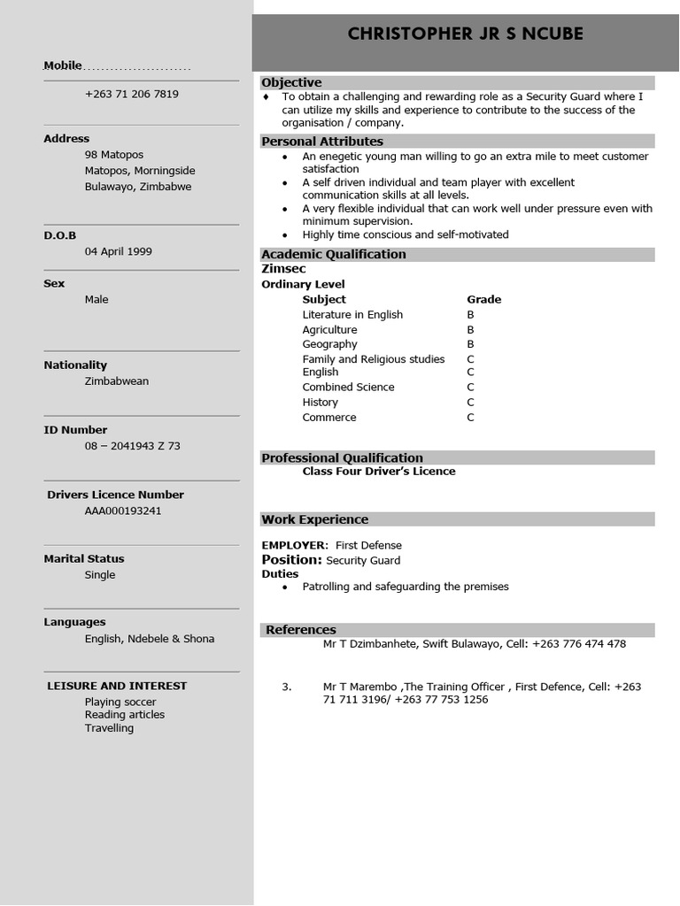 Christopher Ncube CV Current | PDF | Zimbabwe