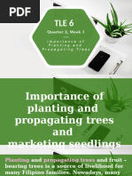 Grade VI Tree Planting Guide | PDF | Trees | Seed