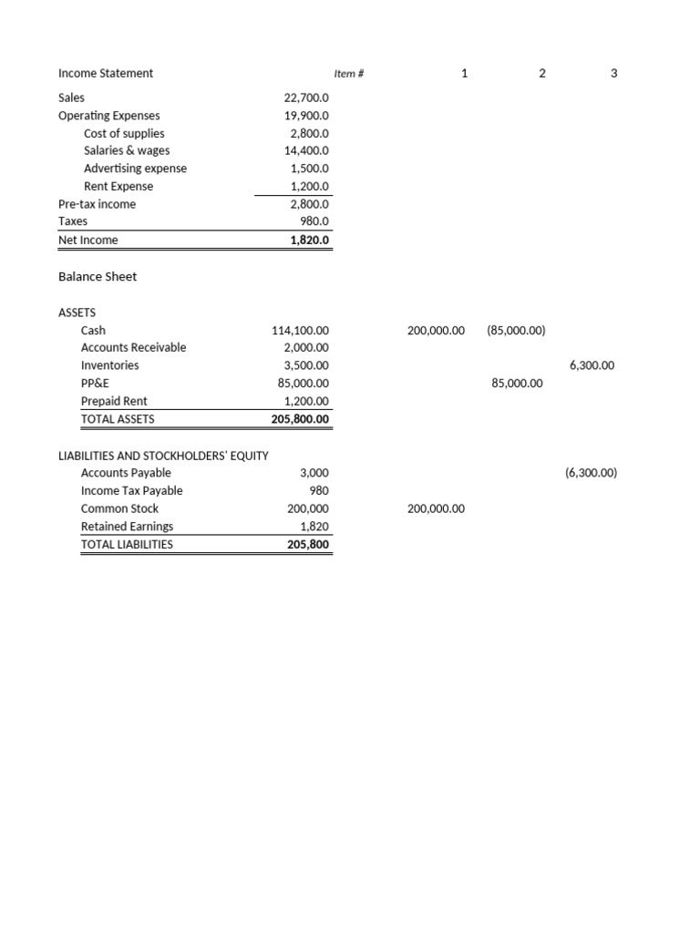 Comprehensive Income Statement & Balance Sheet | PDF