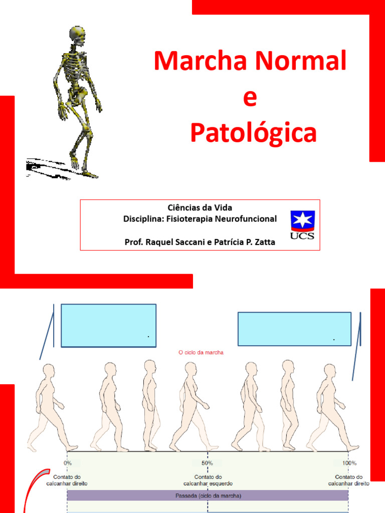 Aula Avaliação Da Marcha Normal e Patológica | PDF | Músculo | Patologia
