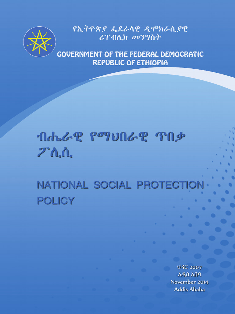 National Social Protection Policy | PDF