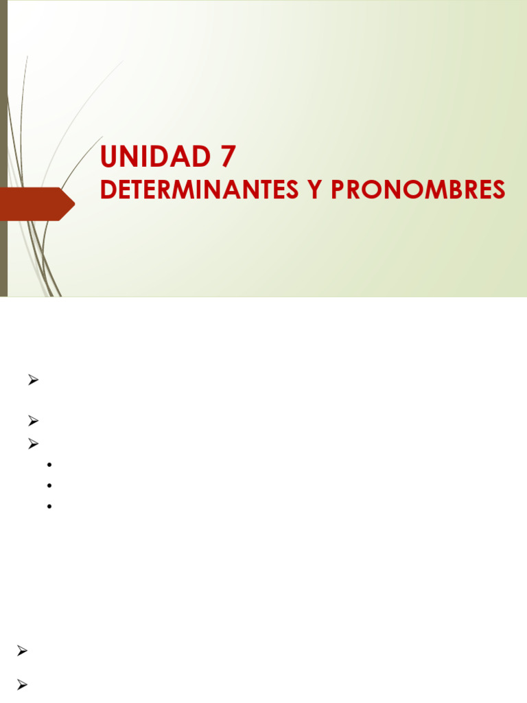 Determinantes y Pronombres en Gramática | PDF | Adjetivo | Pronombre