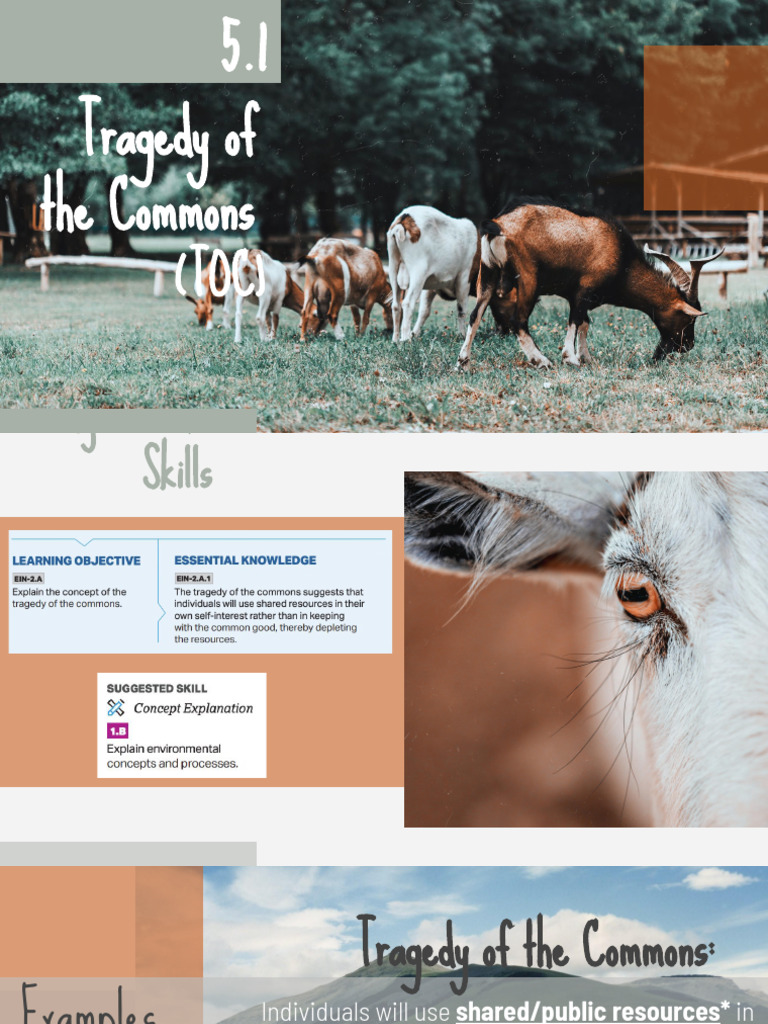 Unit 5 APES Notes Slides | PDF | Soil | Agriculture