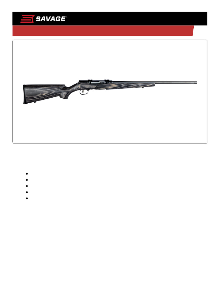 A17 Sporter: High-Performance Rimfire Rifle | PDF