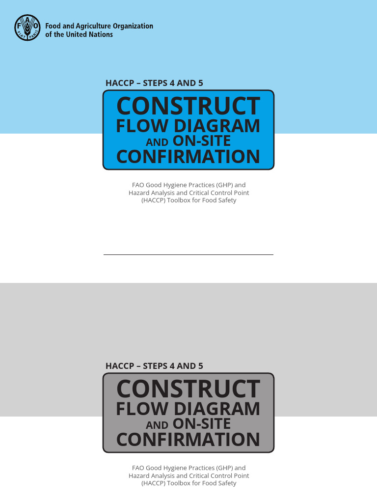 HACCP Steps 4 & 5: Flow Diagram Guide | PDF | Food Safety ...