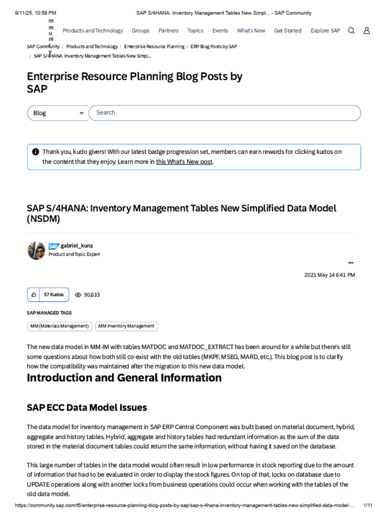 NSDM for SAP S/4HANA Inventory Management | PDF | Enterprise Resource ...