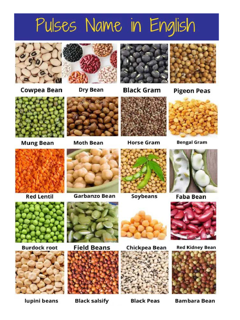 Pulses | PDF