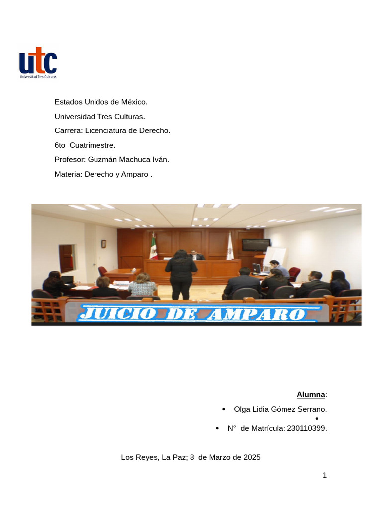 Olga Serrano Amparo | PDF | Derechos | Derechos humanos