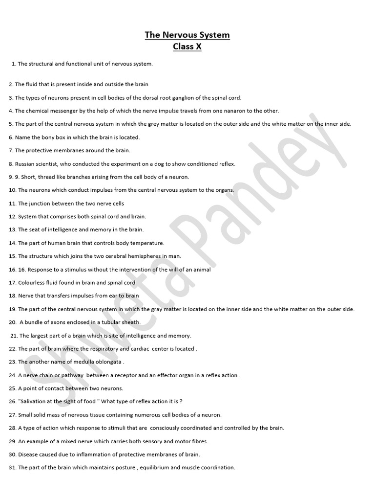 Nervous System Overview for Class X | PDF