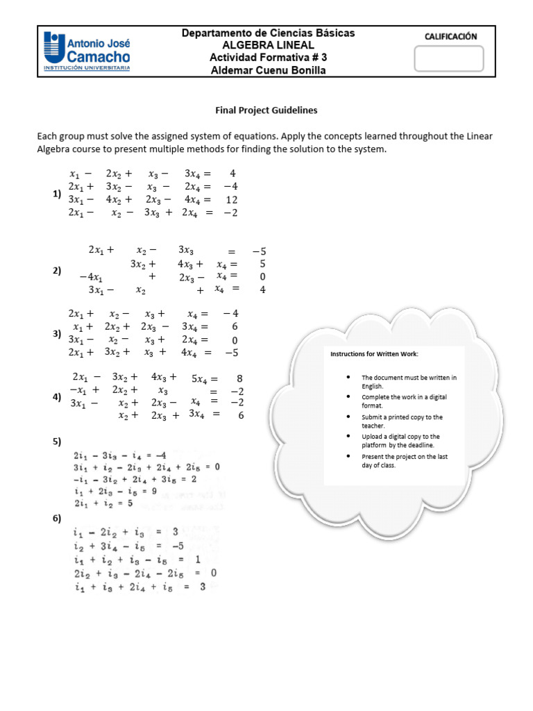 Linear Algebra Project Guidelines | PDF