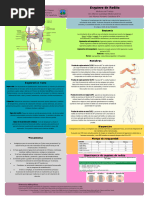 Pruebas de Bostezo en Rodilla | PDF | Rodilla | Medicina CLINICA