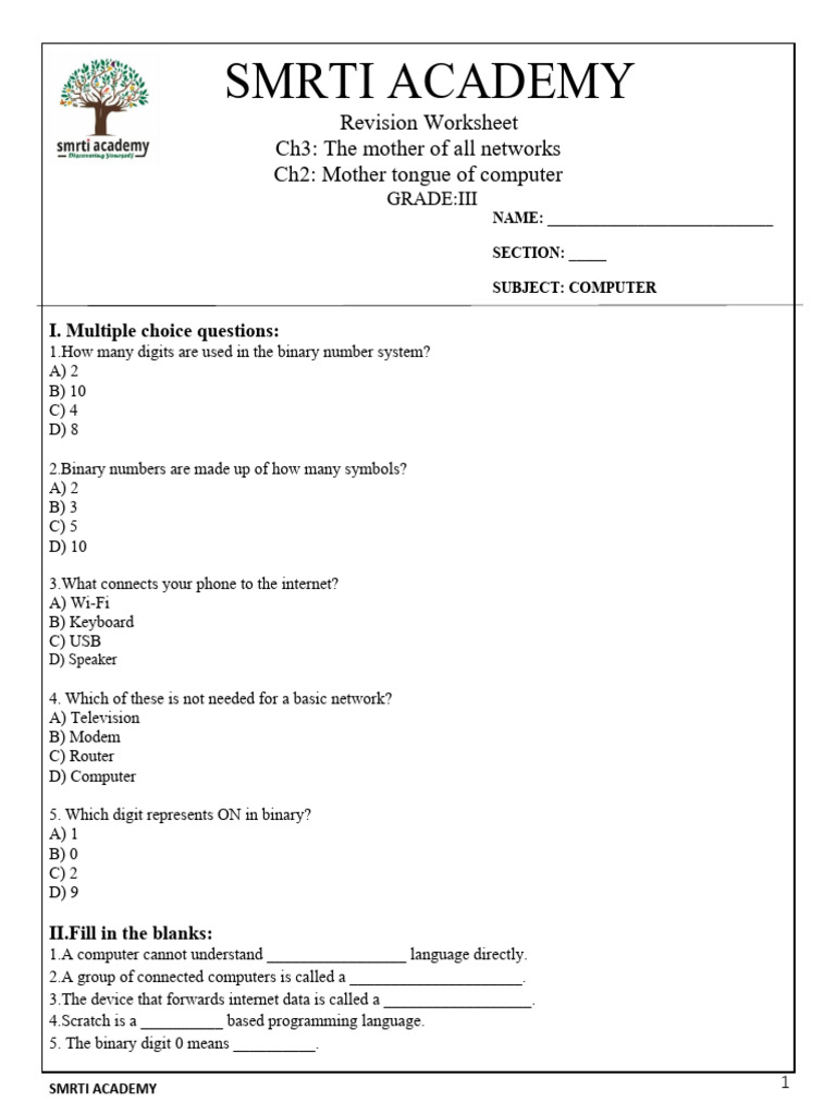Grade III Computer Network Worksheet | PDF