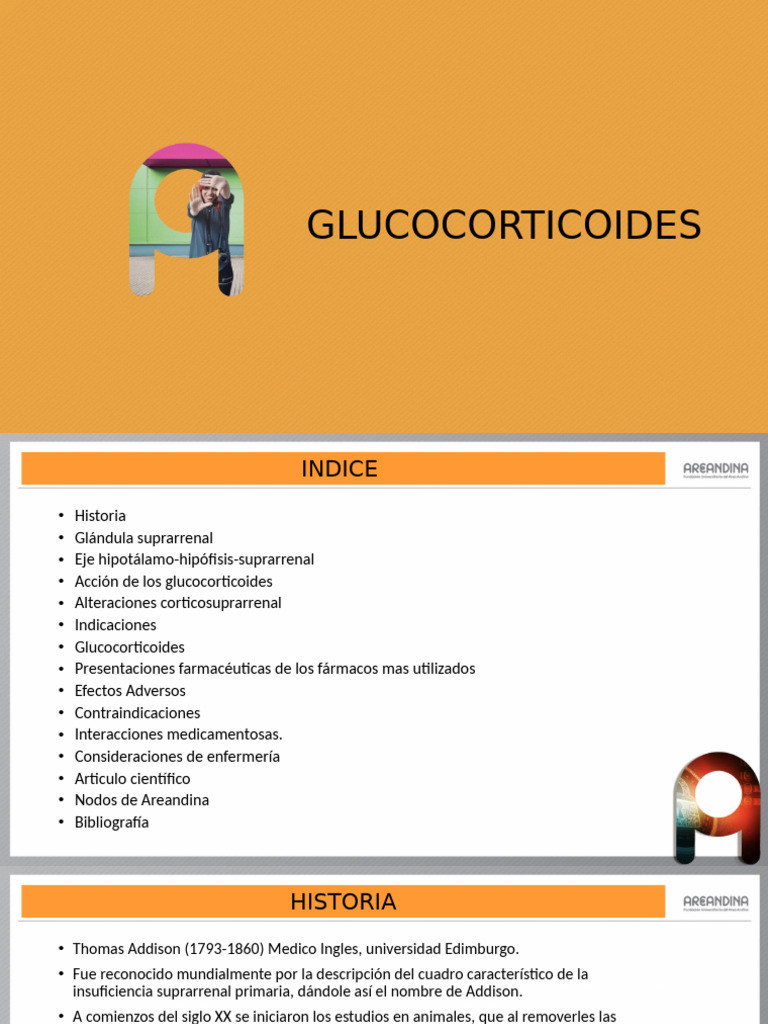 Glucocorticoides: Usos y Efectos | PDF | Glándula suprarrenal ...