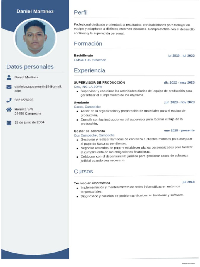 CV. Daniel 2025 | PDF