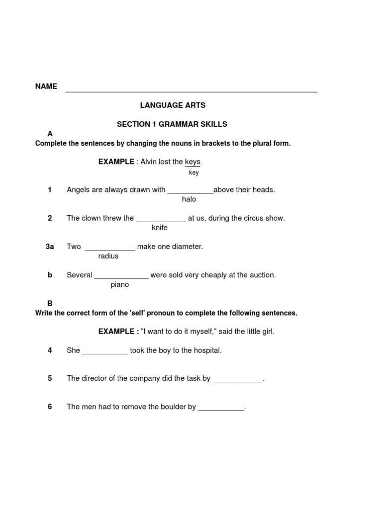 Language Arts Skills Practice | PDF | Museum | Sentence (Linguistics)