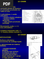 Anatomie détaillée du coude humain | PDF | Articulation (anatomie) | Anatomie humaine