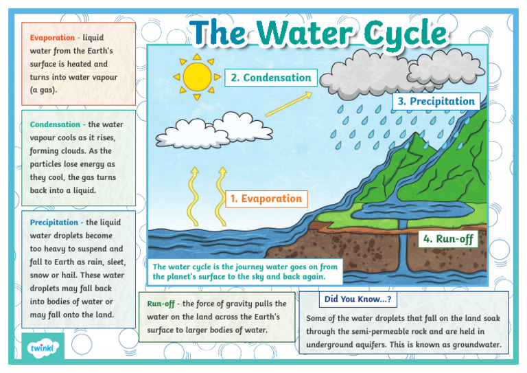 Water Cycle Overview Poster | PDF