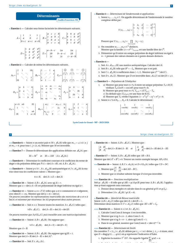 Exercices sur les déterminants et matrices | PDF | Algèbre | Analyse ...