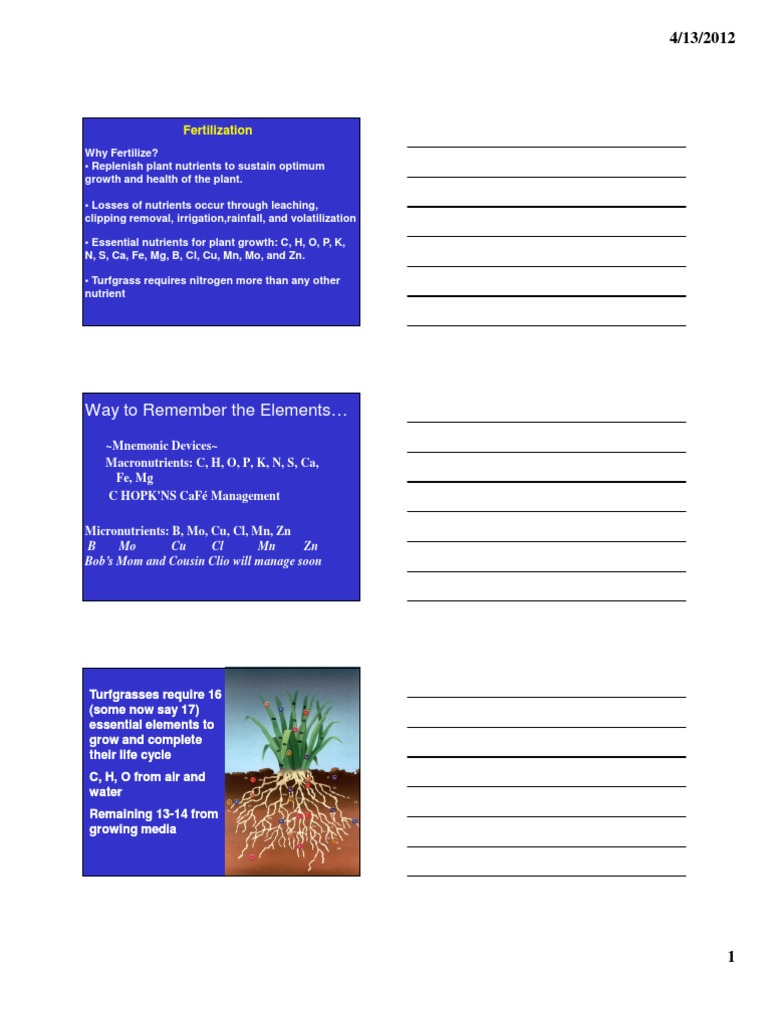 Fertelizer | PDF | Urea | Fertilizer