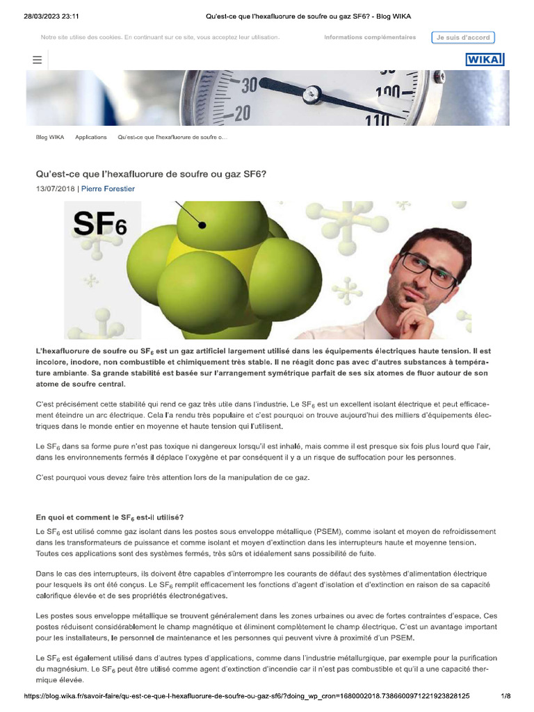sf6 Gaz | PDF