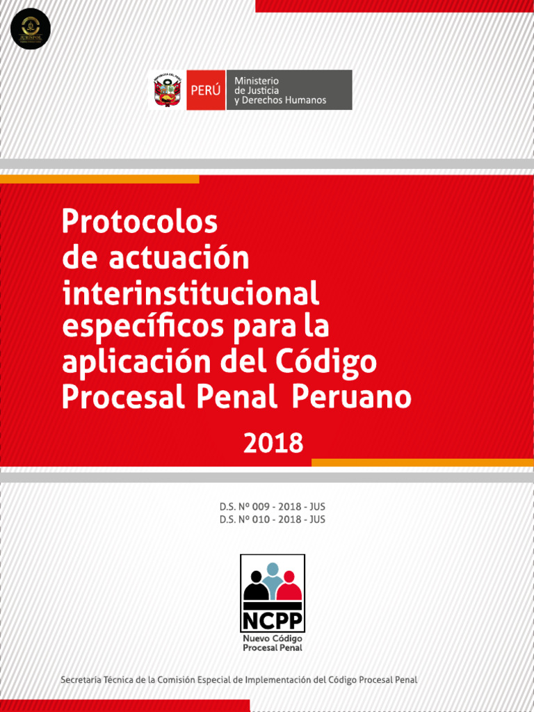Protocolos de Actuacion Interinstitucional para La Aplicacion Del CPP ...