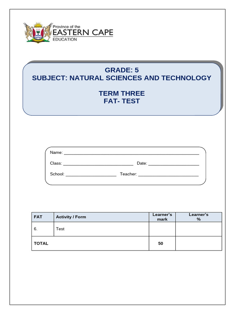 Grade 5 NST Term 3 Test Paper | PDF | Electricity | Electric Generator