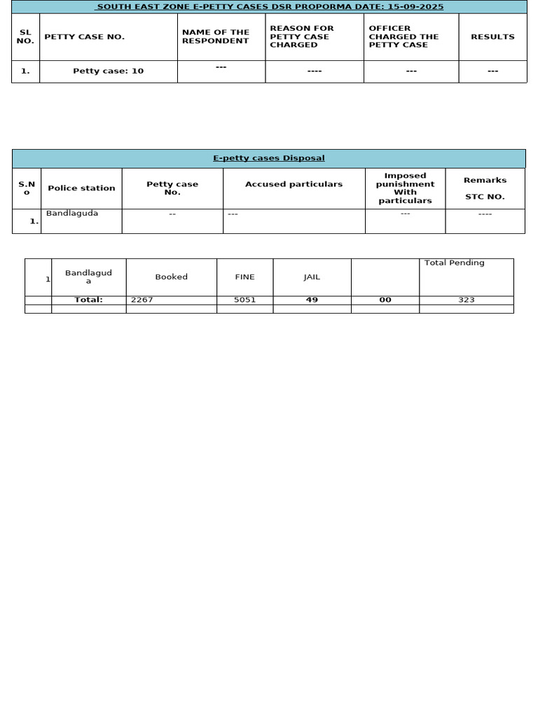 E - Petty Cases | PDF