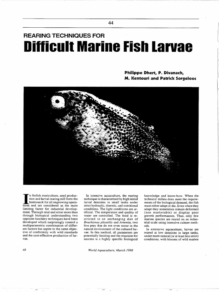 Rearing Techniques For - Difficult Marine Fish Larvae | PDF