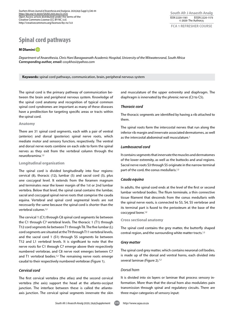 Spinal Cord Anatomy and Pathways Overview | PDF | Spinal Cord | Motor ...