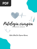 5Hs e 5Ts Da PCR | PDF | Coração | Sangue