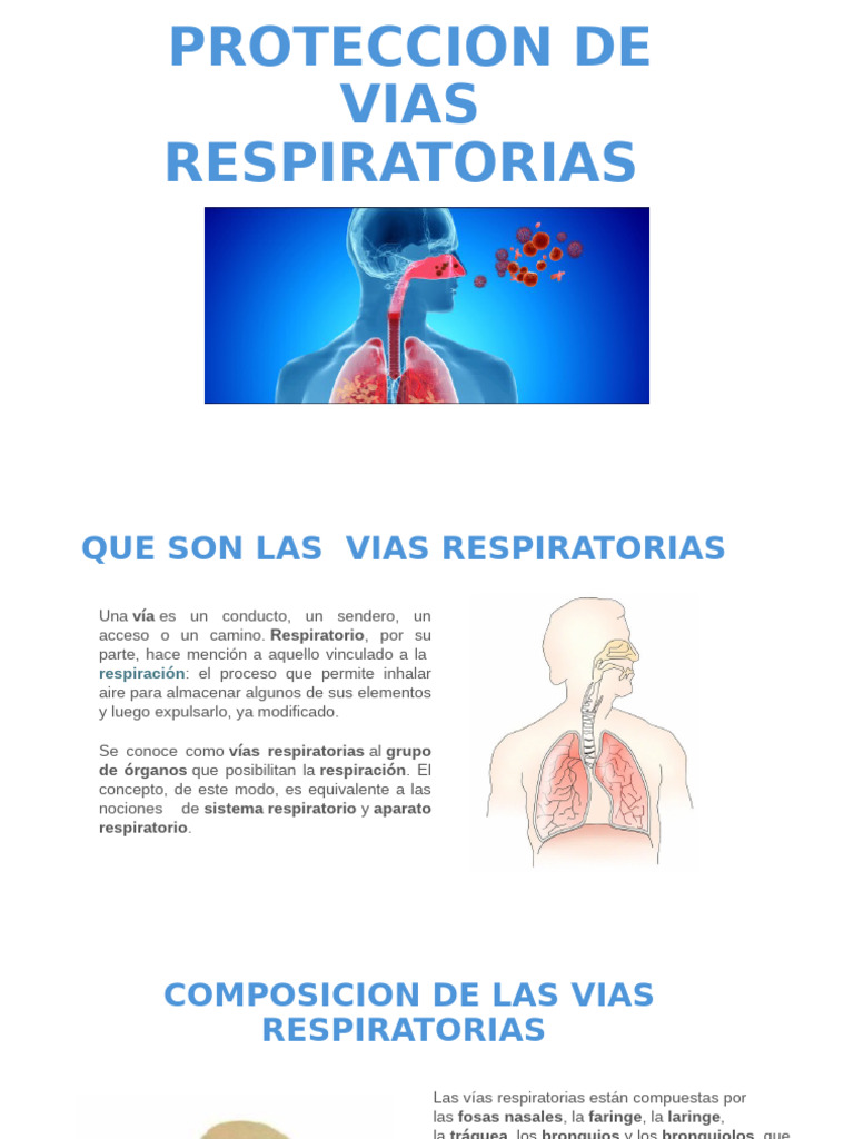 Proteccion de Vias Respiratorias | PDF | Sistema respiratorio ...